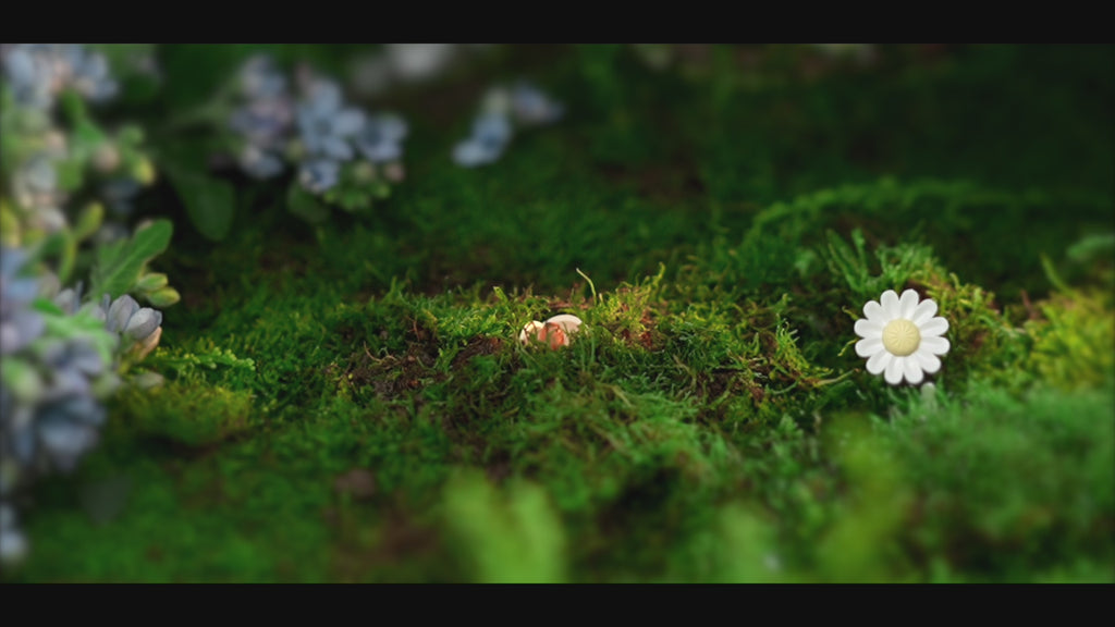 Robotime Starry Camellia Lamp | Bouwpakket nachtlamp | Robotime België